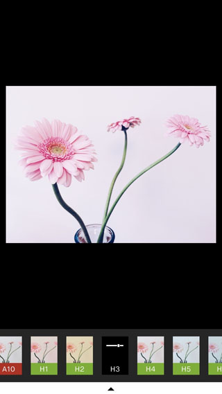 How To Use VSCO Filters To Create Beautiful iPhone Photos