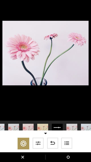 How To Use VSCO Filters To Create Beautiful iPhone Photos