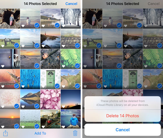 How To Use iPhone Photo Albums To Organize Photos