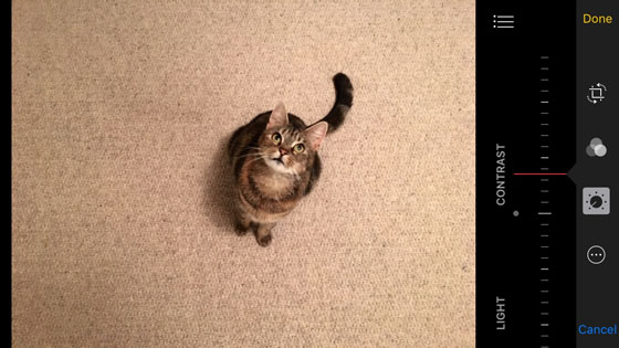 Live Photos: How To Use This iPhone Camera Feature