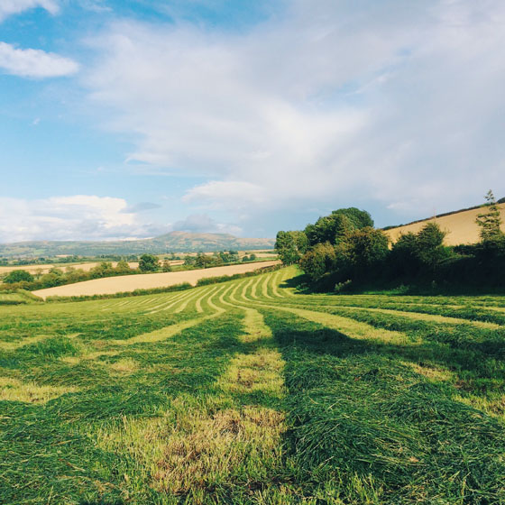 How To Use The Vignette Tool To Create Dramatic iPhone Photos