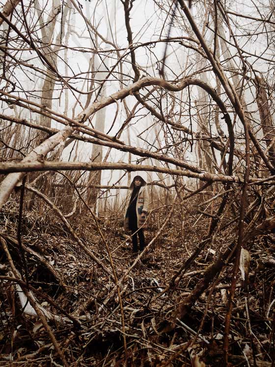 7 Secrets For Jaw-Dropping Forest Photography On iPhone