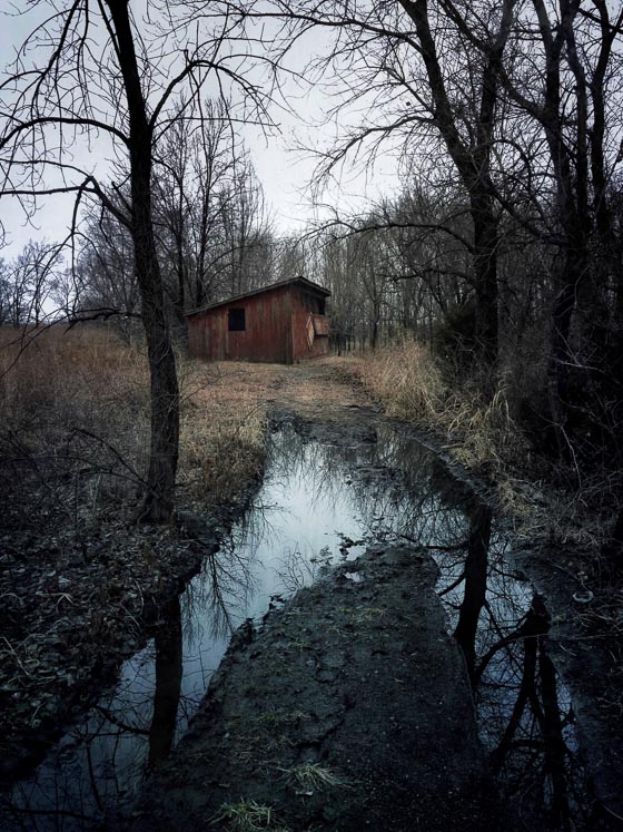 9 Tips For Incredible Rural Landscape Photography On iPhone