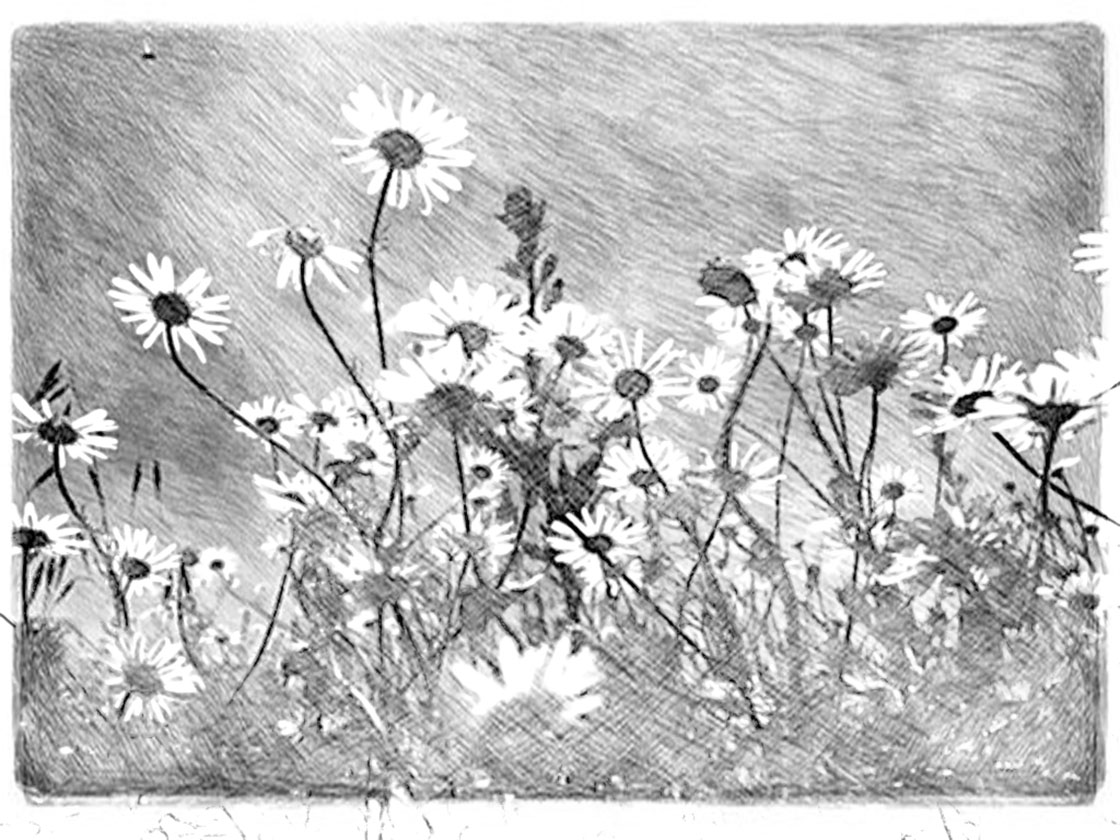 Apps That Turn Photos Into Drawings 6 Best IPhone Photo Sketch Apps