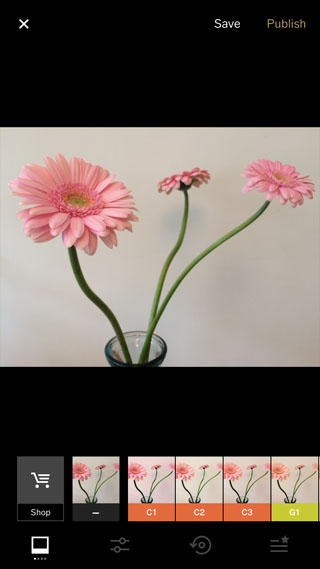 How To Use VSCO Filters To Create Beautiful iPhone Photos