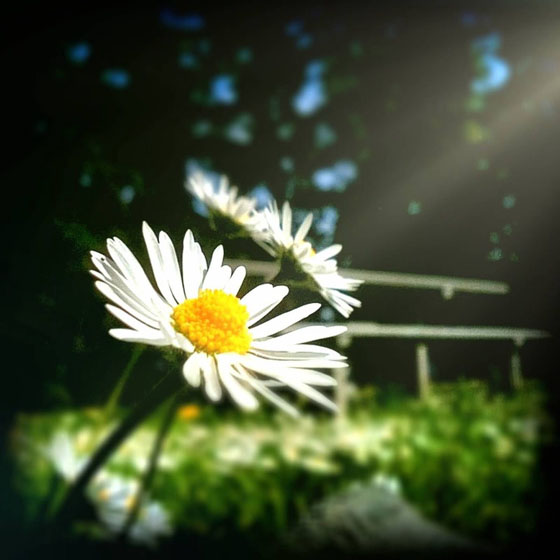 30 Great iPhone Photos Taken From Interesting Angles