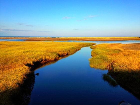 12 Ways To Create Stunning iPhone Photos Using Color