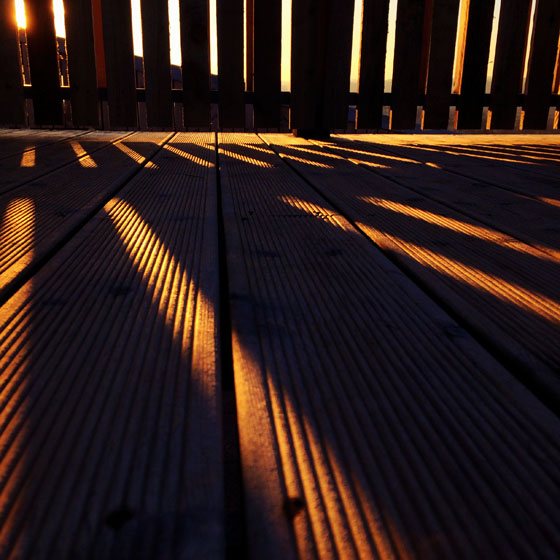 10 Tips For Taking Incredible Low Angle iPhone Photos