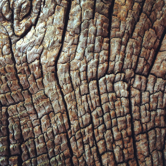 6 Ways To Bring Your iPhone Photos To Life With Texture